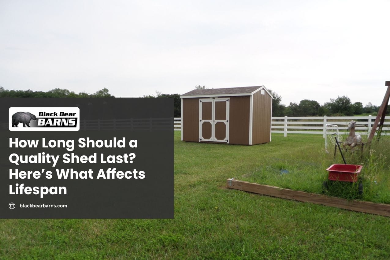 6 Ultimate Guide to Shed Lifespan: How to Make Your Shed Last for Decades